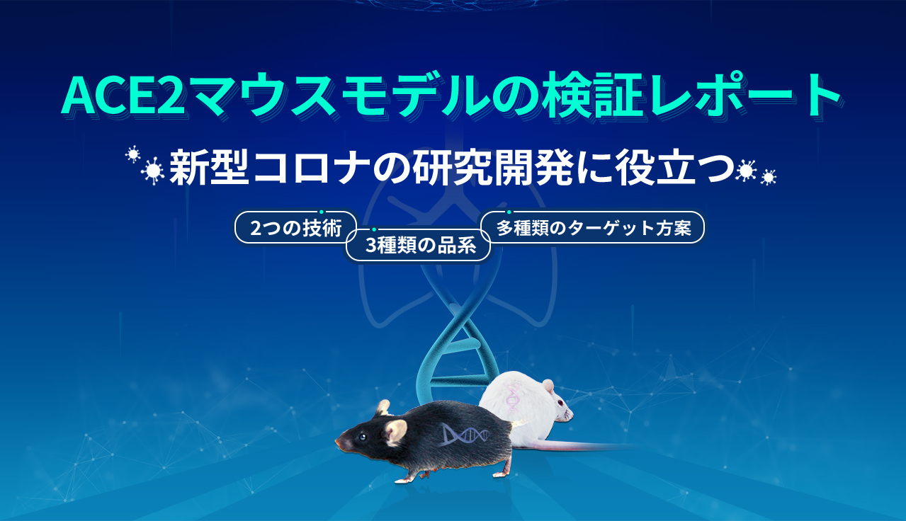 新型コロナウイルスに関連したACE2は一体どんなものでしょうか？ | サイヤジェン株式会社(Cyagen)