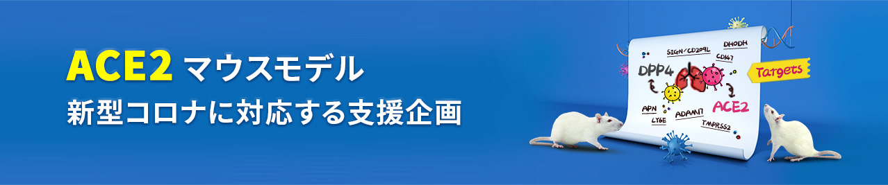 ACE2マウスモデル | サイヤジェン株式会社(Cyagen)